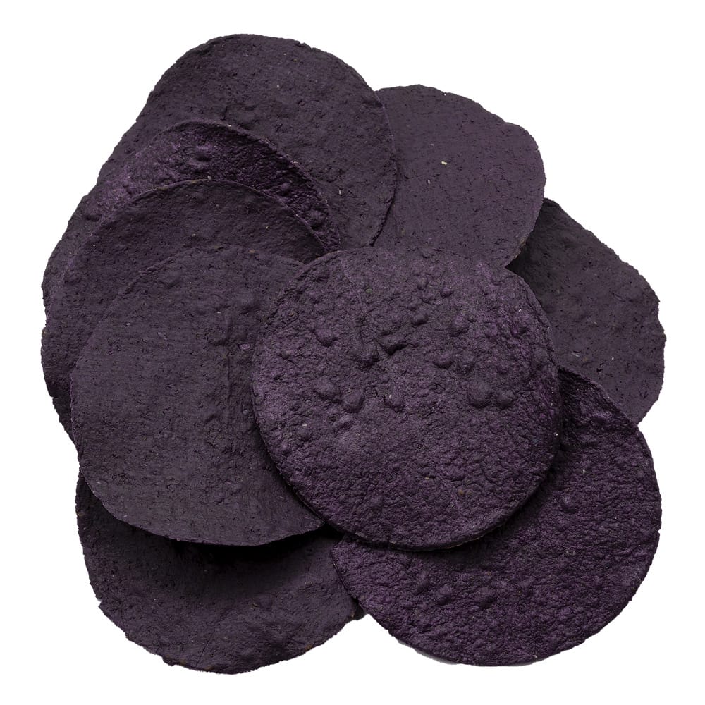 Tortillas de maíz tostadas moradas estándar (10 und - 13cm) – EL TAQUERO